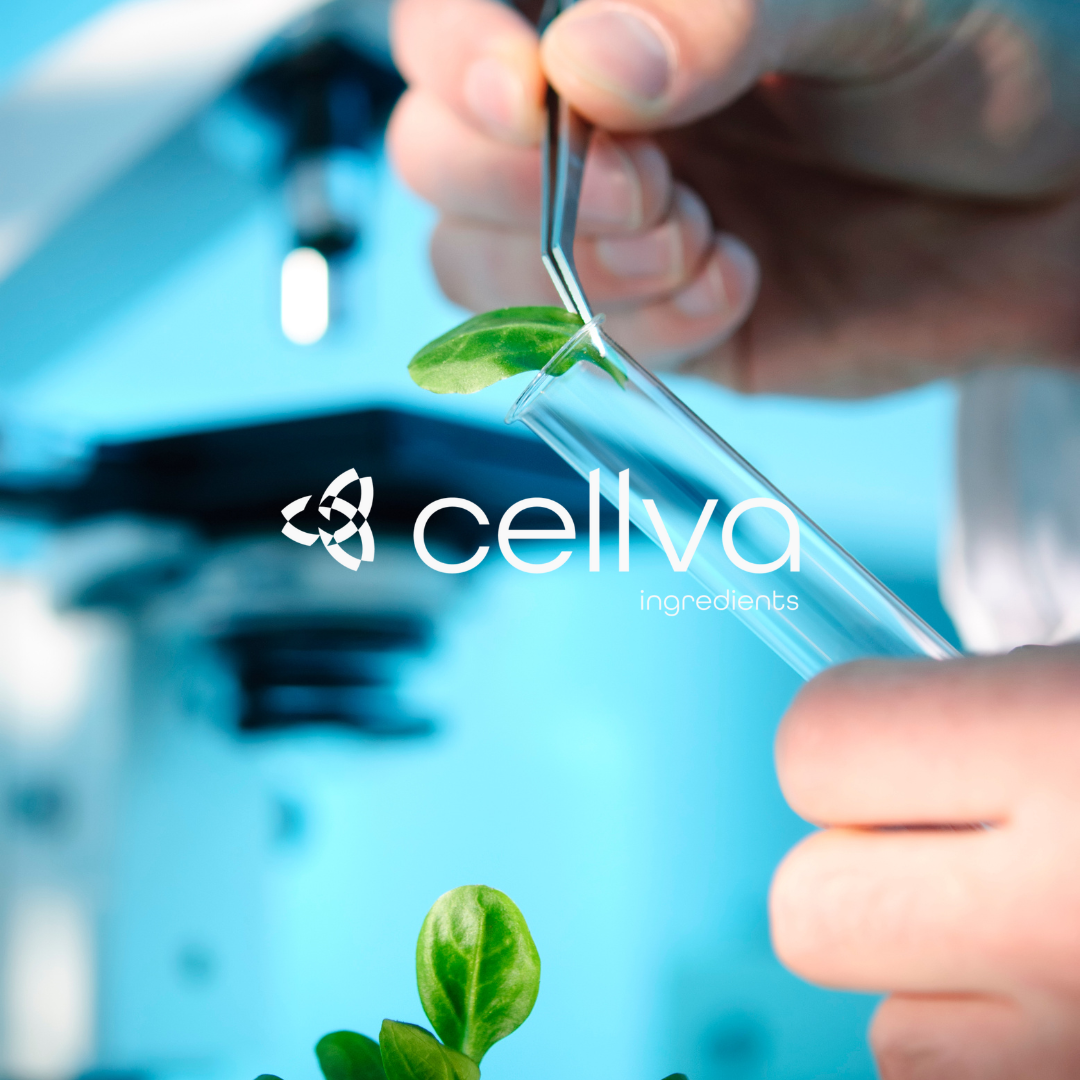 Cellva - Rumbo Ventures